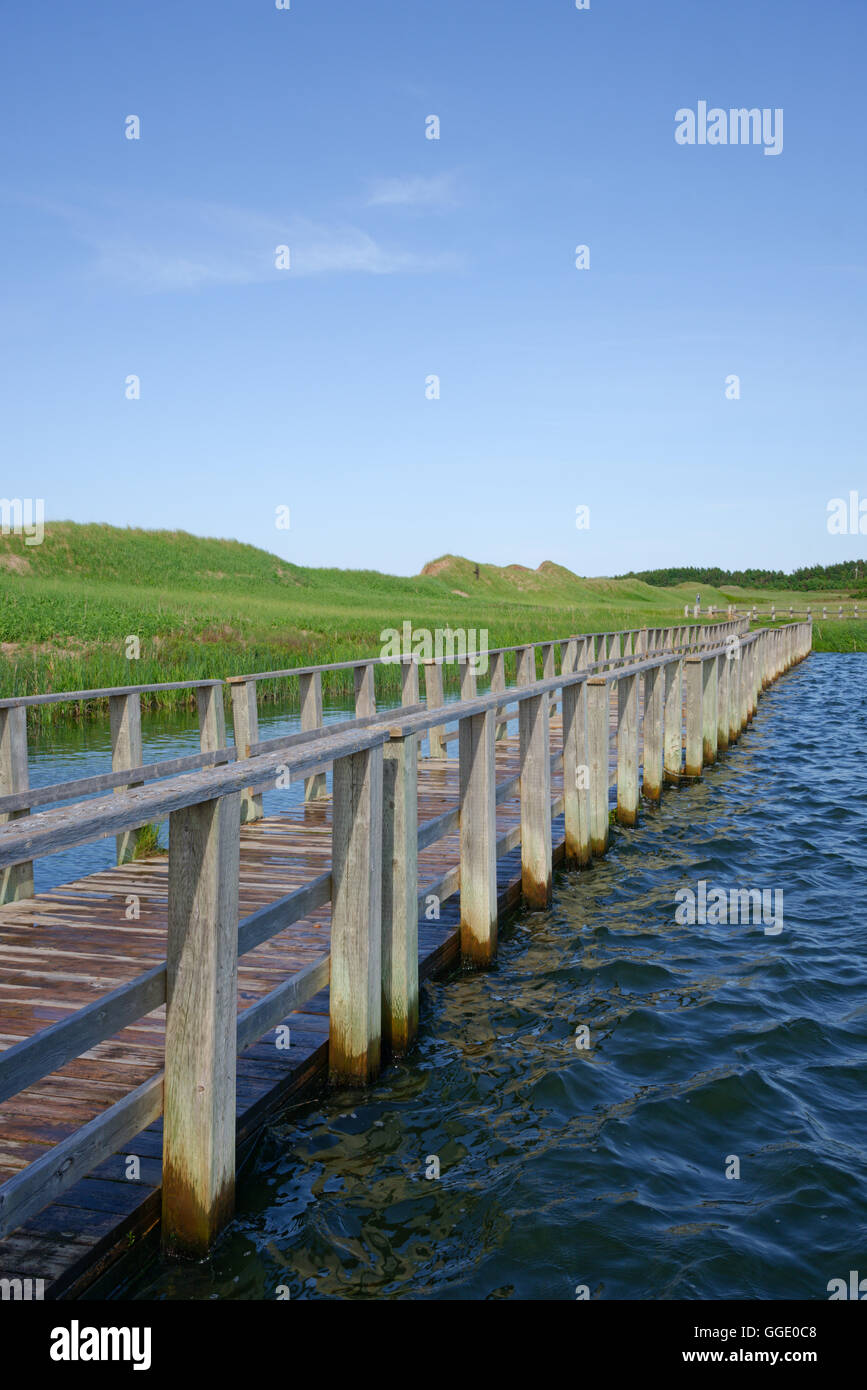 A floating pavement in Dunelands Trail near Cavendish in Prince Edward ...