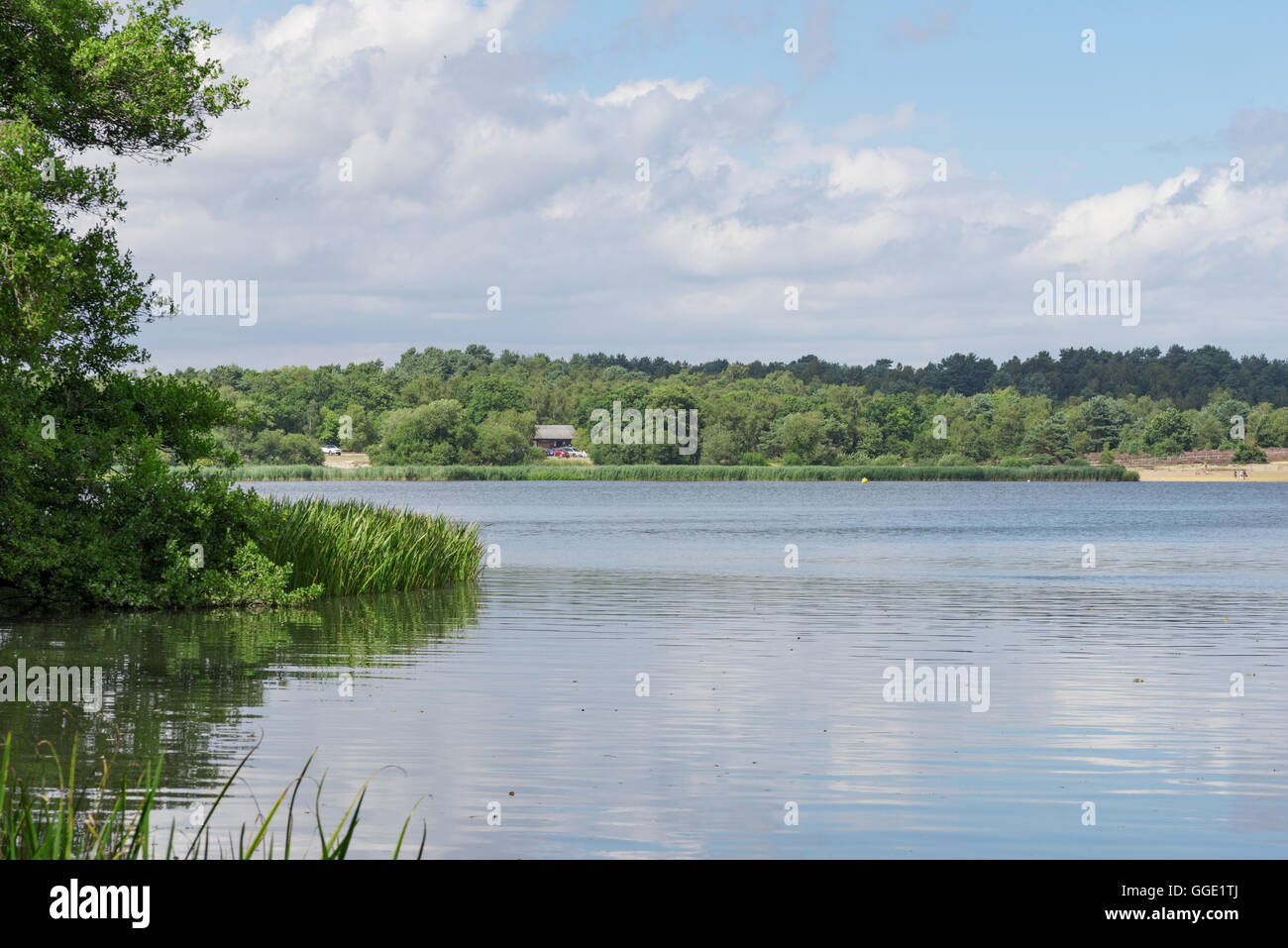Frensham great pond hi-res stock photography and images - Alamy