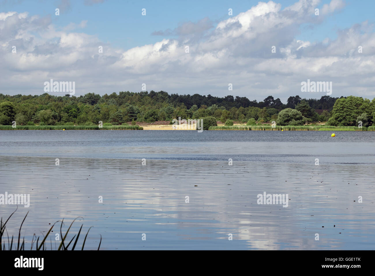 Frensham great pond hi-res stock photography and images - Alamy