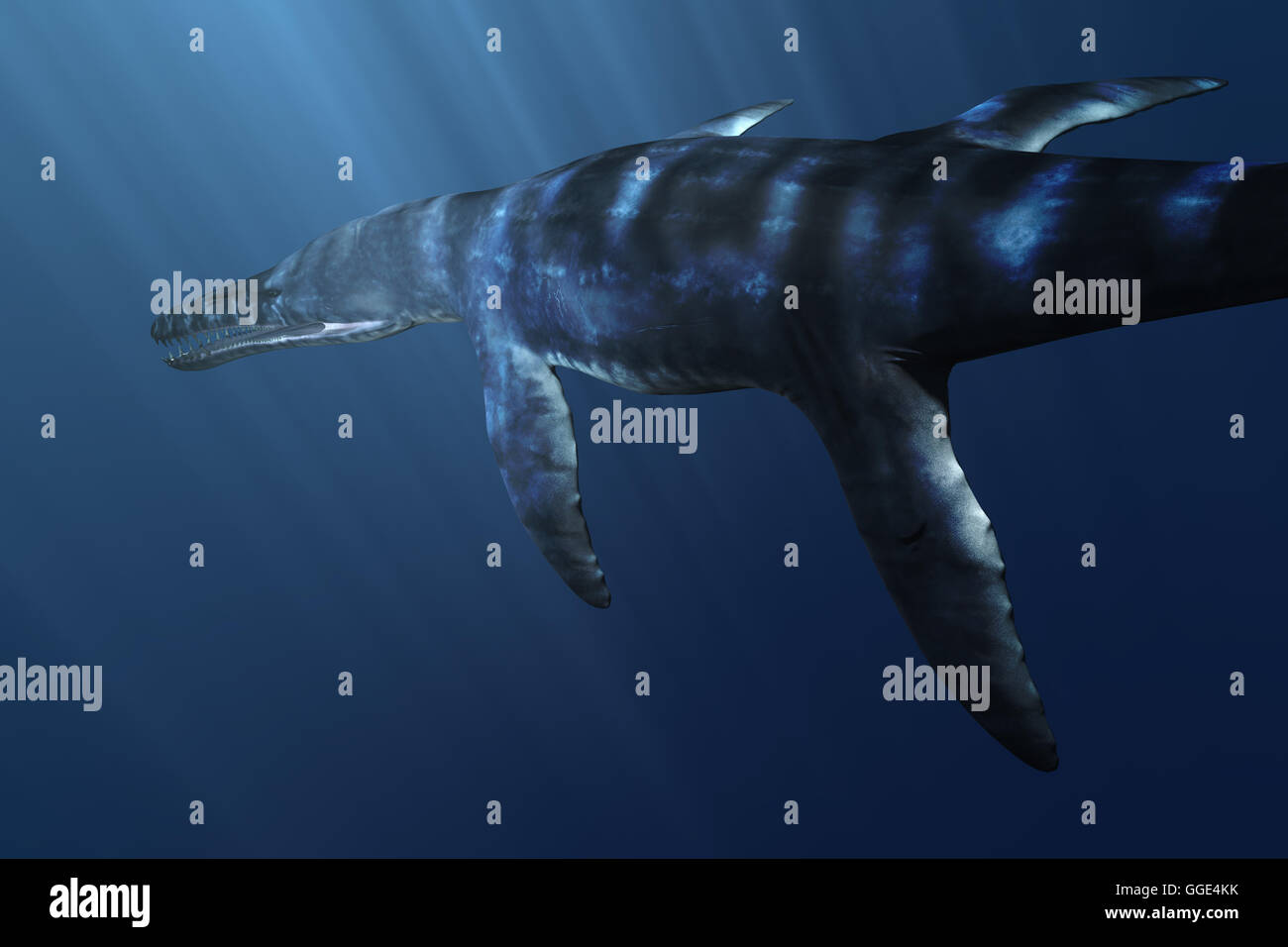 Pliosaurus macromerus Stock Photo - Alamy