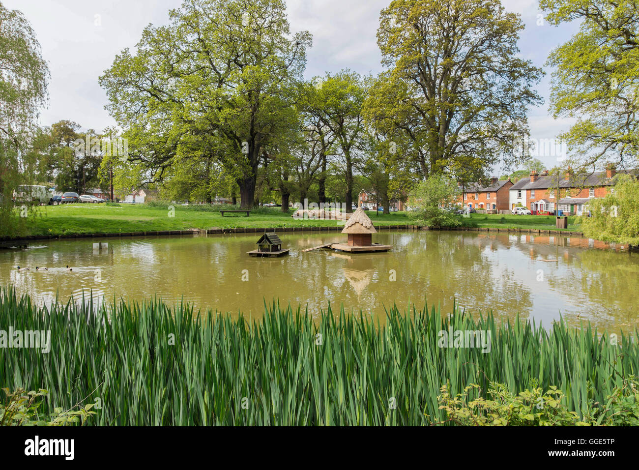 Duck Island and village pond in Hartley Wintney, UK Stock Photo - Alamy