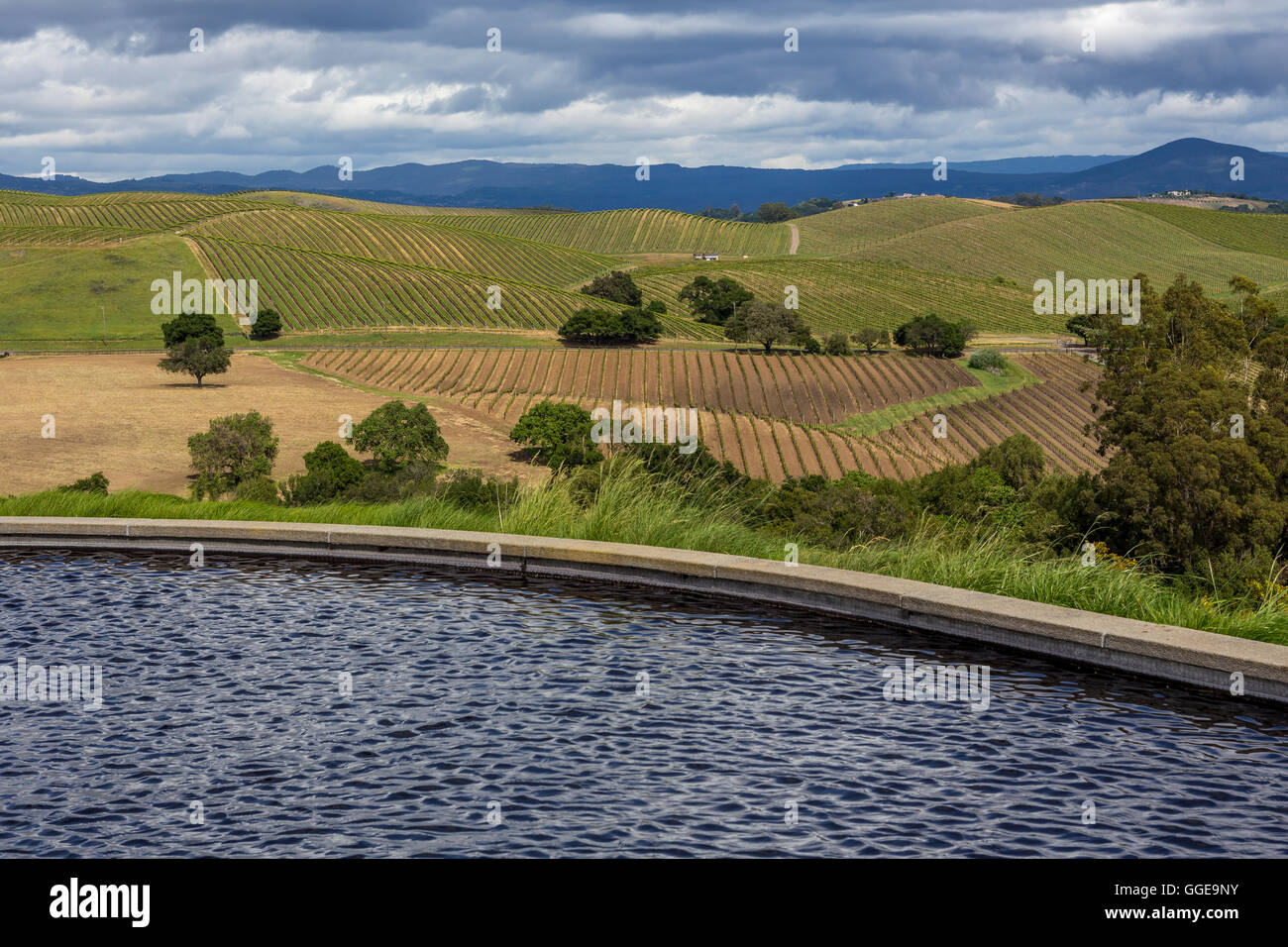 Los carneros region hi-res stock photography and images - Alamy