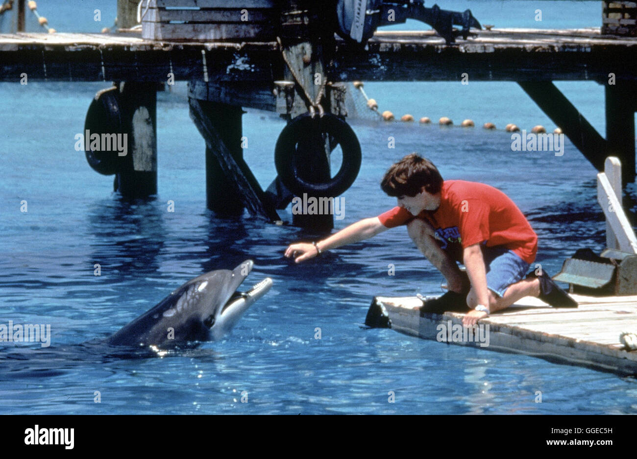 Flipper 1996 elijah wood hi-res stock photography and images - Alamy