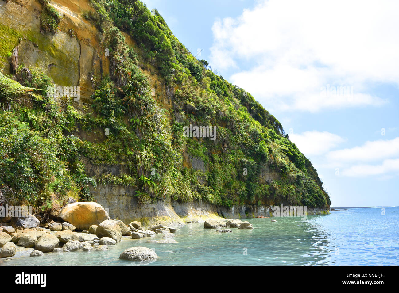 cliff Three Sisters NZ west coast sea Stock Photo - Alamy