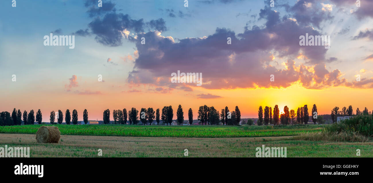 Countryside field dusk panoramic view Stock Photo - Alamy