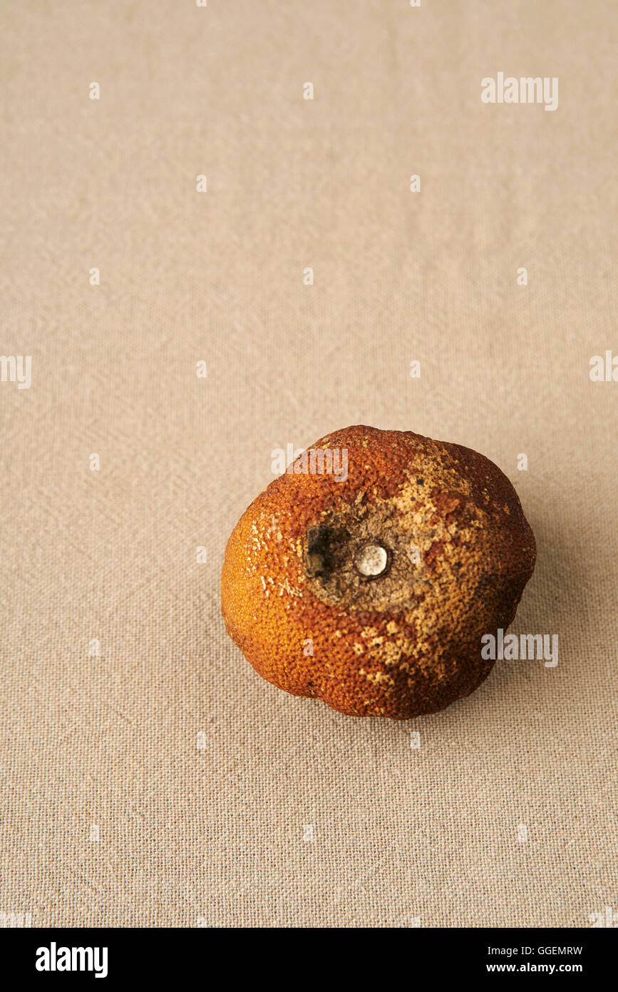 All fall down, dried orange on the table Stock Photo - Alamy