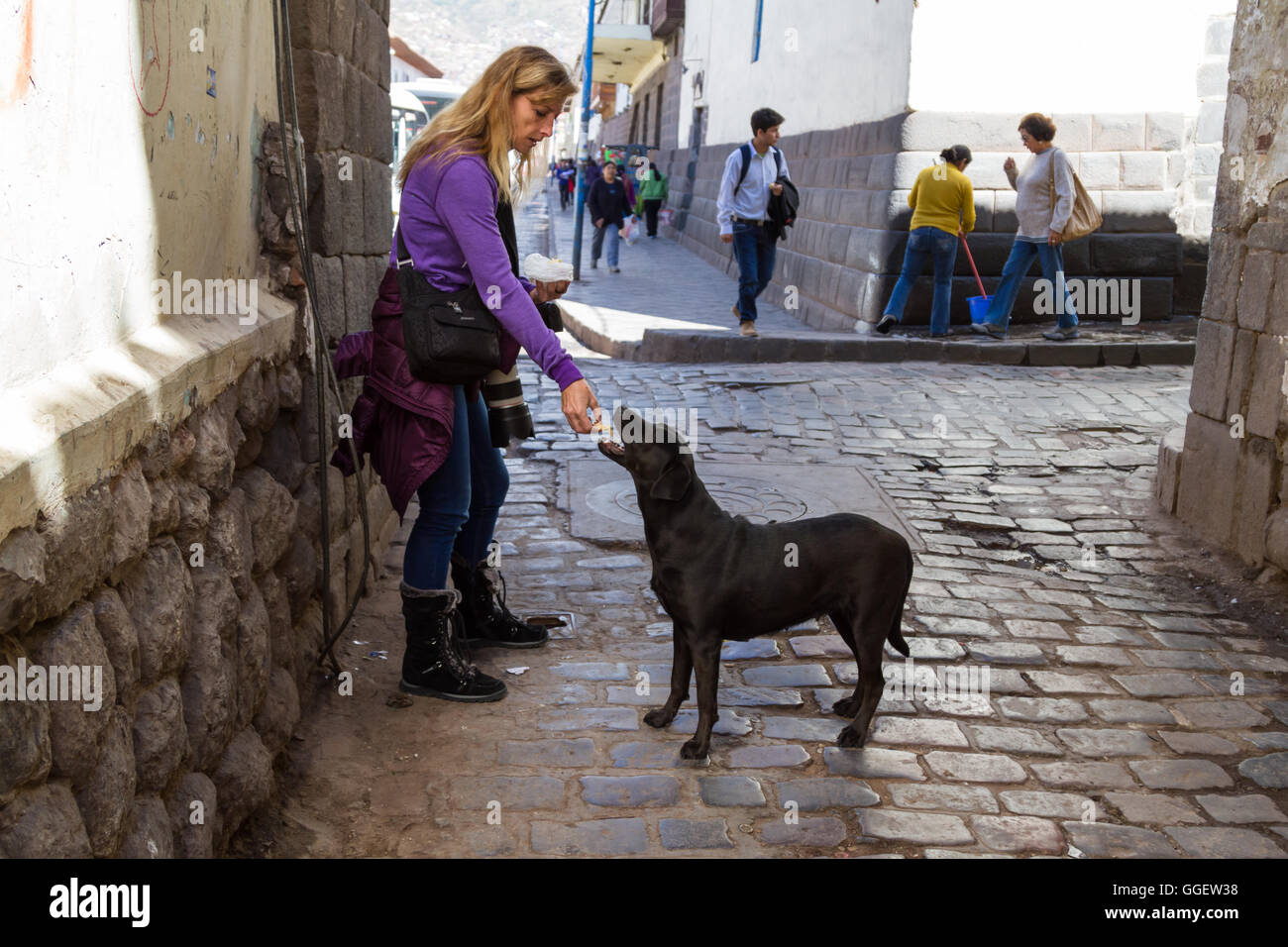 Cusco, Peru - May 12 : Tourist feeding a dog in the streets of Cuszo ...