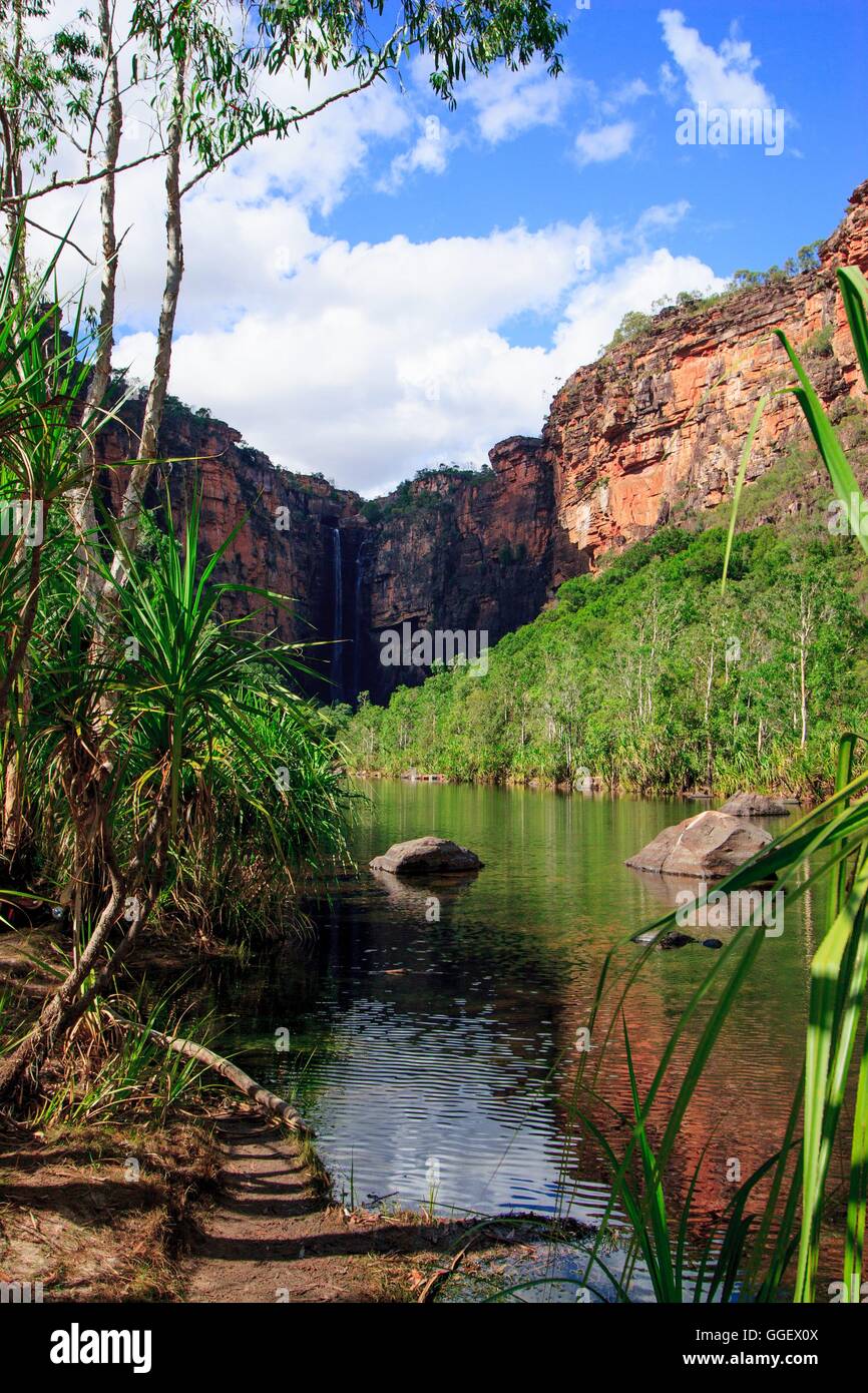 Looking out over the Jim Jim Falls waterhole to the falls in the ...