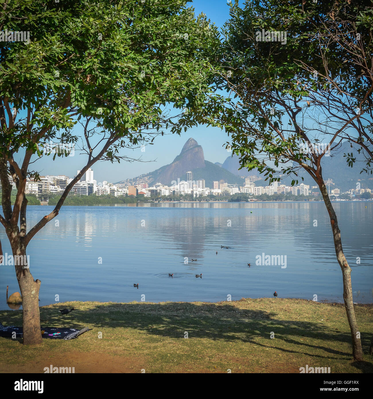 Lagoa Rodrigo de Freitas, Rio de Janeiro, Brazil Stock Photo - Alamy
