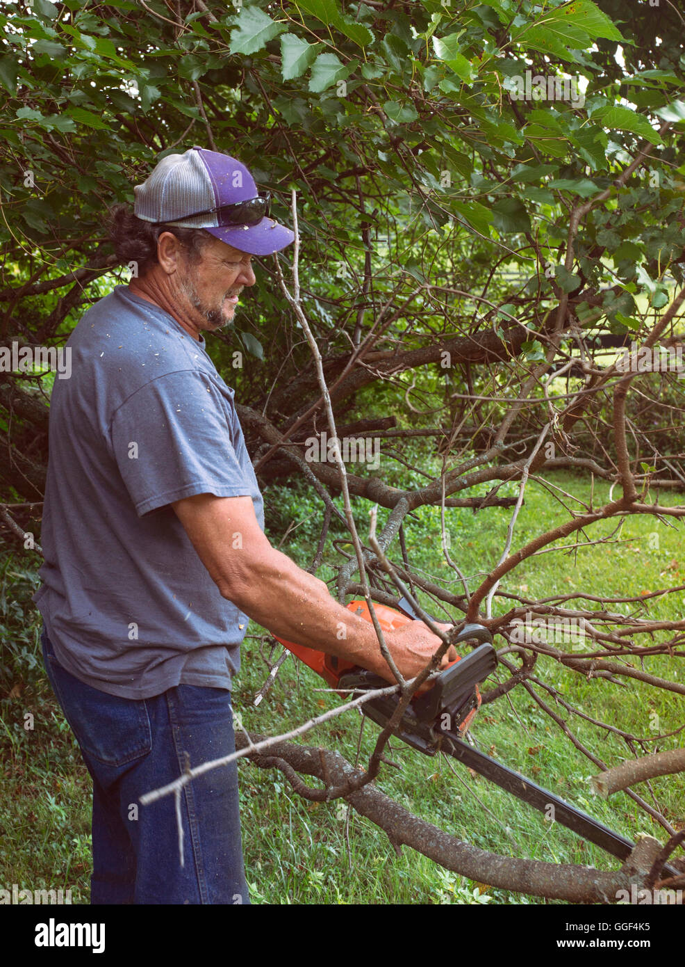 Man sawing tree branches in a yard Stock Photo - Alamy