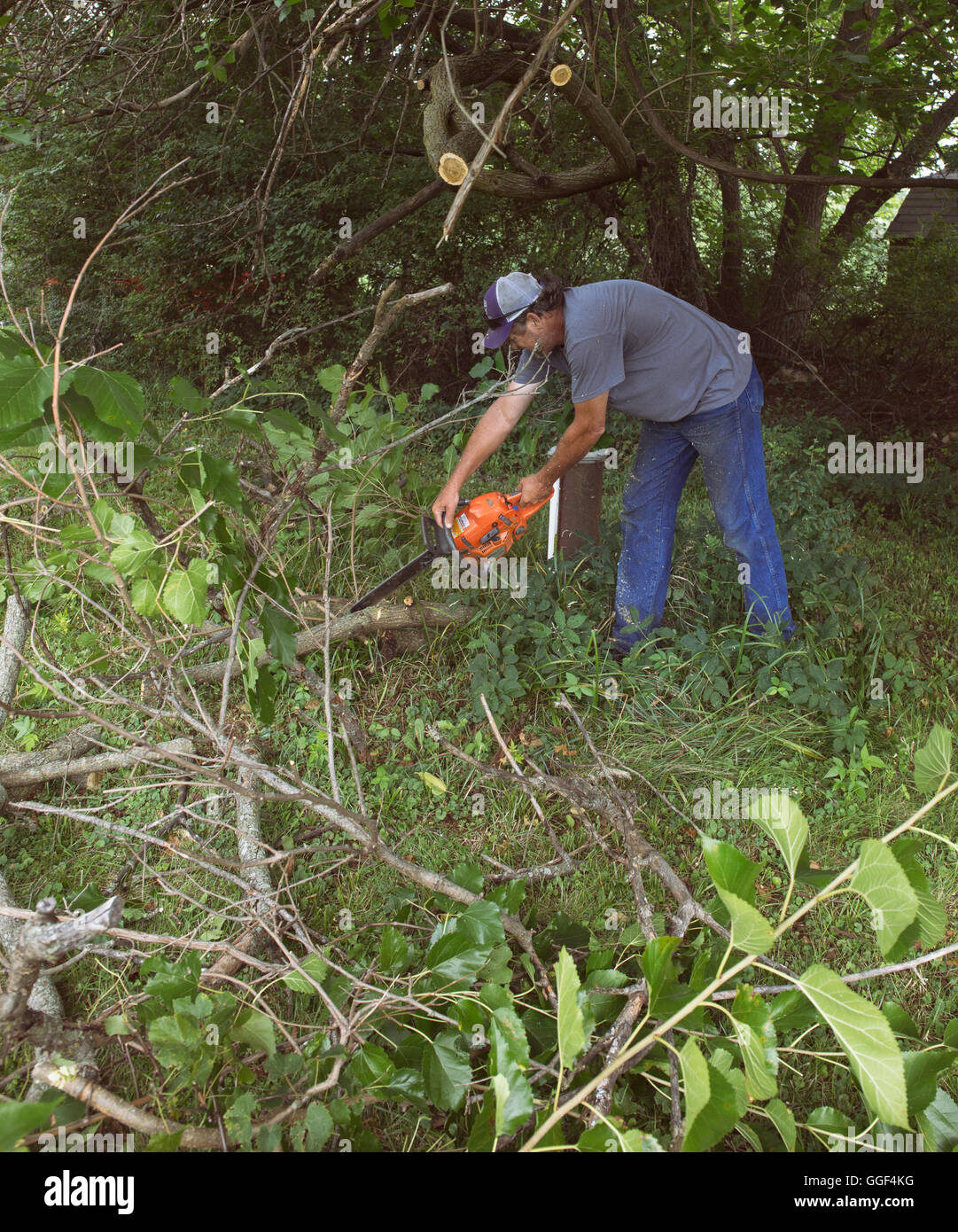 Man sawing tree branches in a yard Stock Photo - Alamy