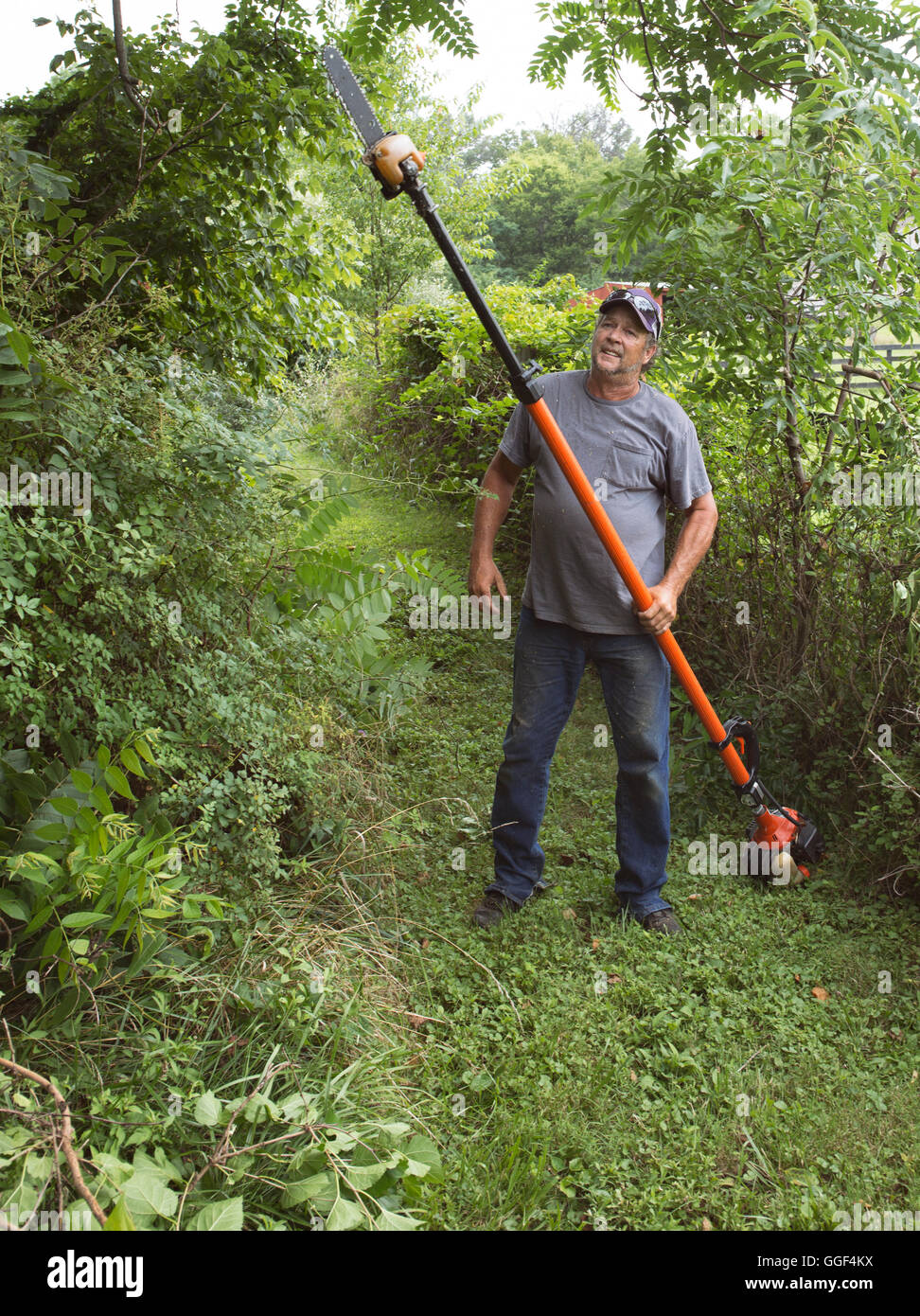 Man sawing tree branches in a yard Stock Photo - Alamy