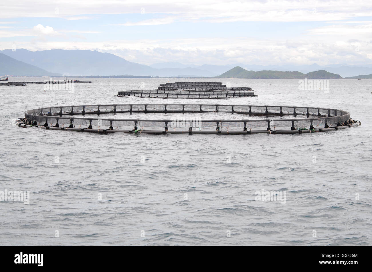 Marine cage culture in the sea Stock Photo - Alamy