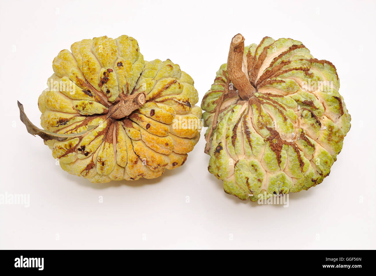 Vietnamese custard apple on a white background Stock Photo - Alamy