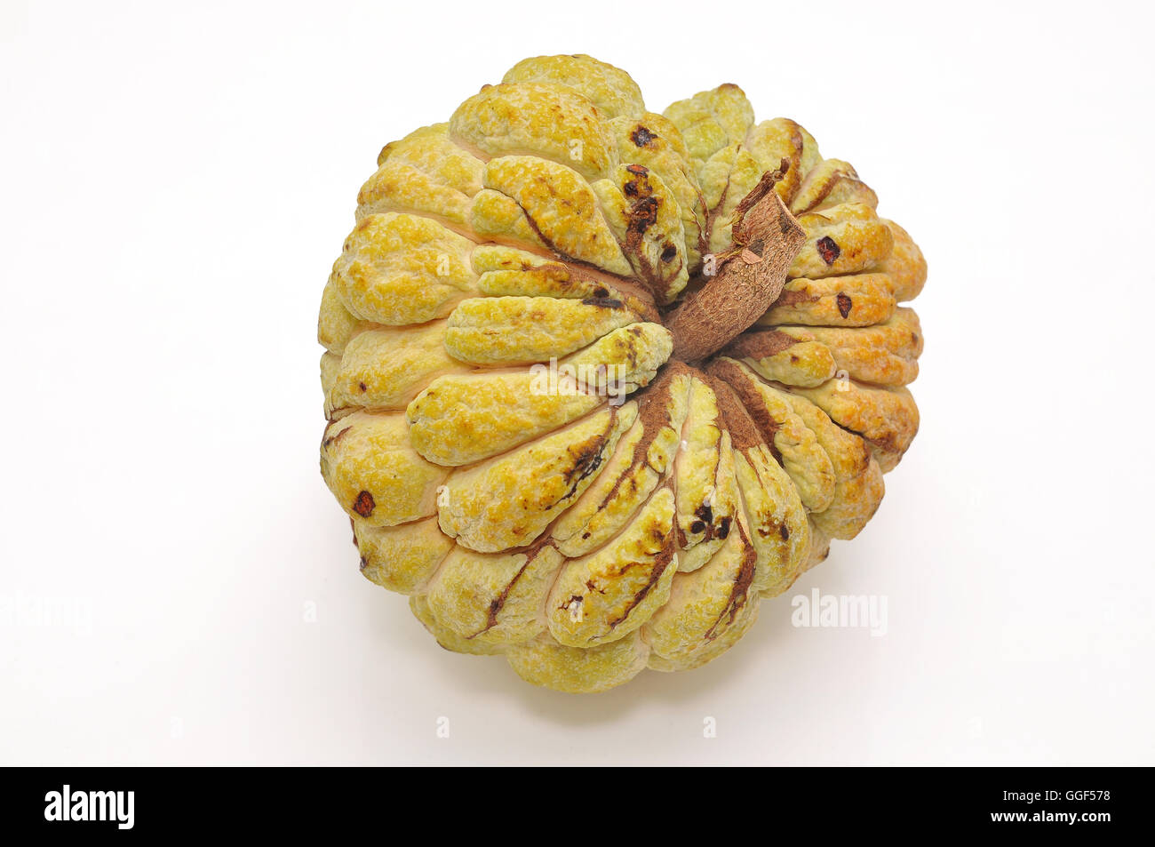 Vietnamese custard apple on a white background Stock Photo - Alamy