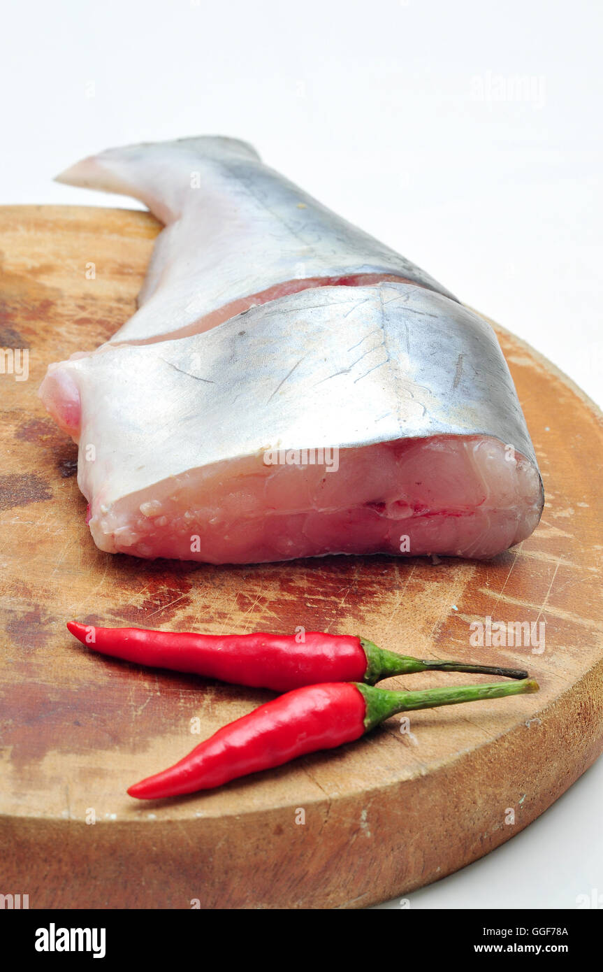 Pangasius or Vietnamese catfish in the kitchen in a white background ...