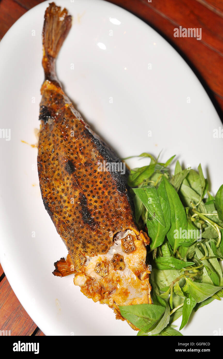 Dried Puffer Fish High Resolution Stock Photography and Images - Alamy