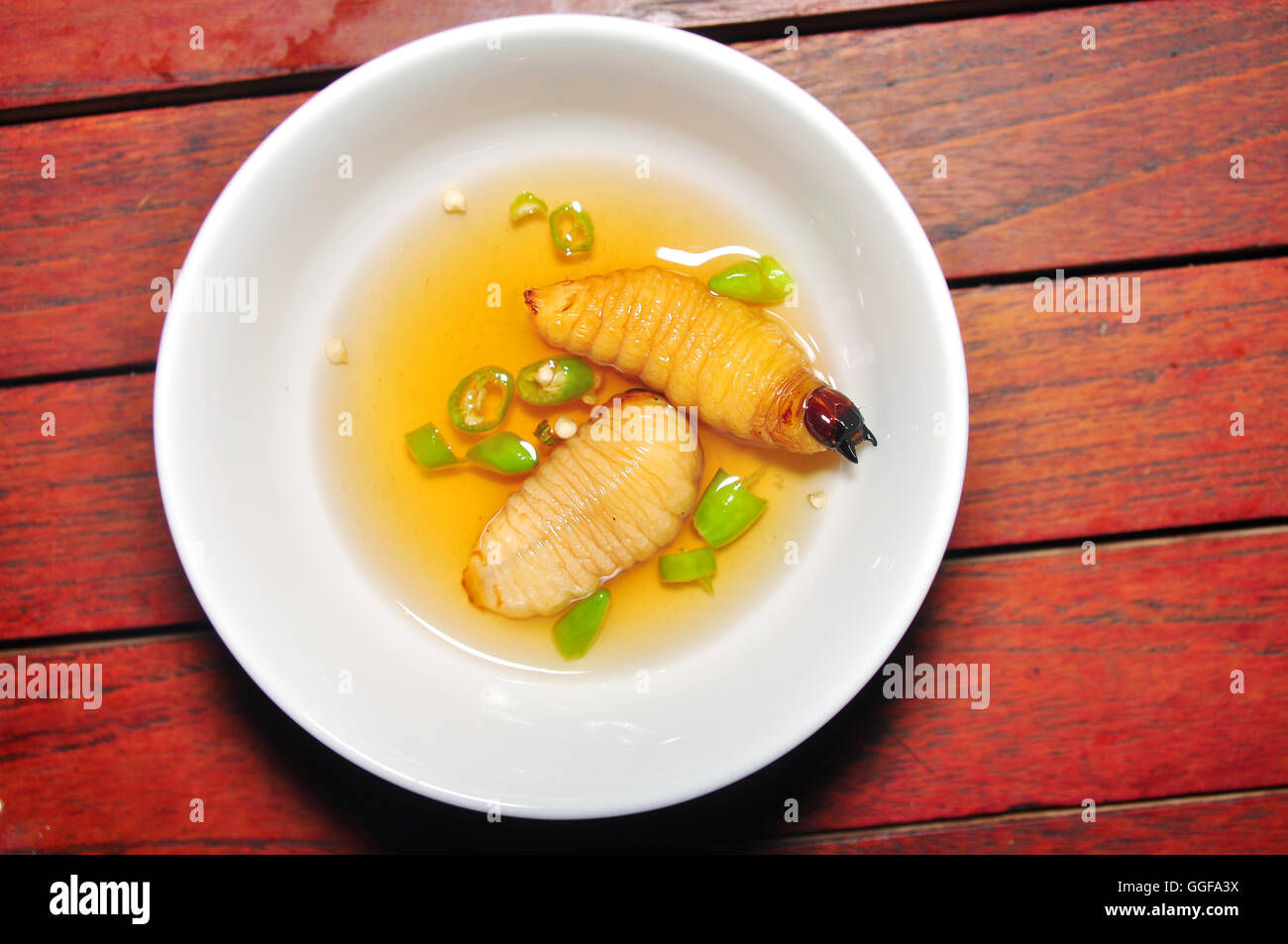 Red Palm Weevil Larva or Coconut worm or Duong dua or sago worm ...