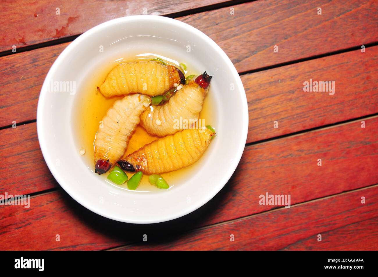 Red Palm Weevil Larva or Coconut worm or Duong dua or sago worm ...