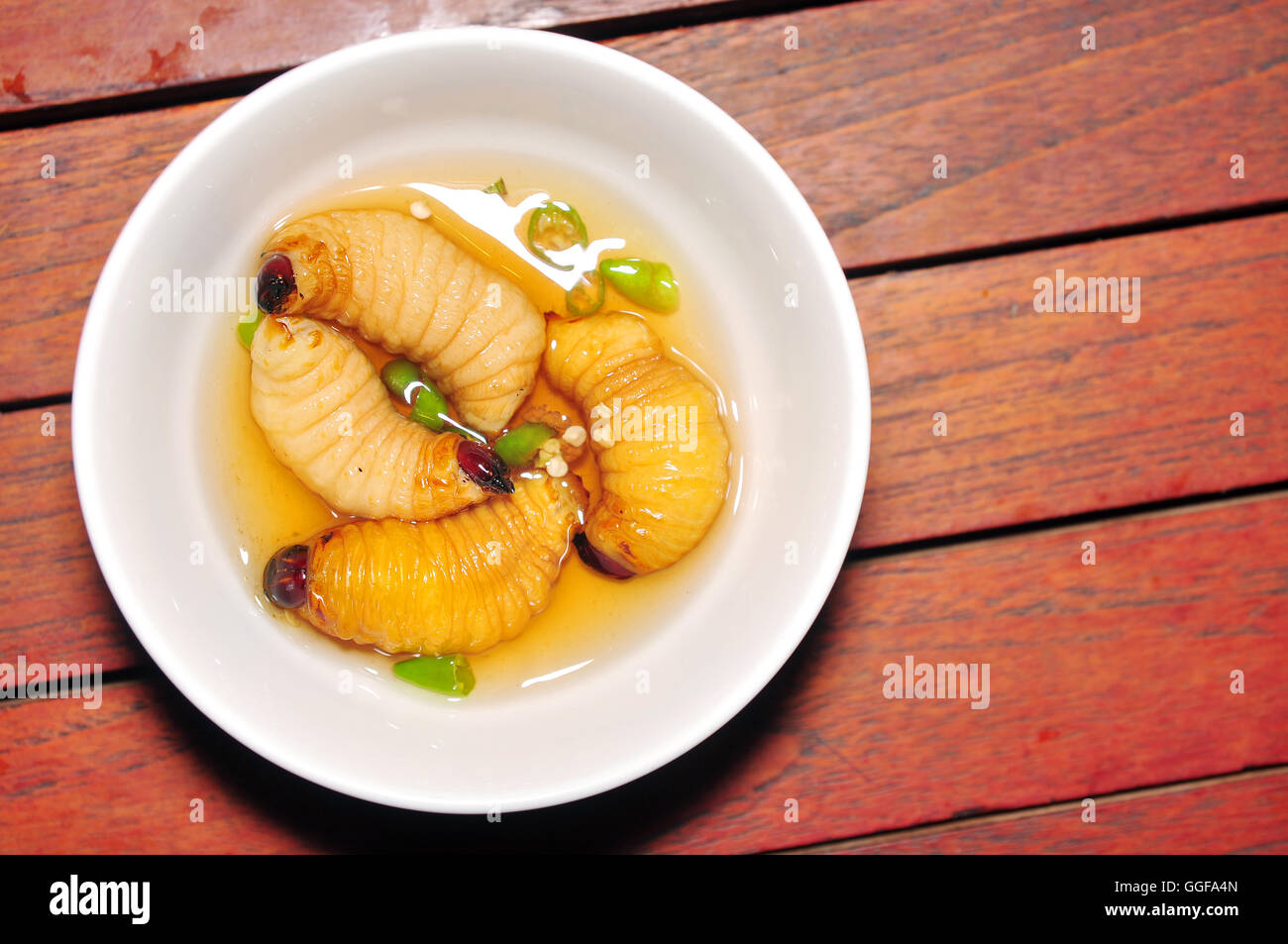 Red Palm Weevil Larva or Coconut worm or Duong dua or sago worm ...