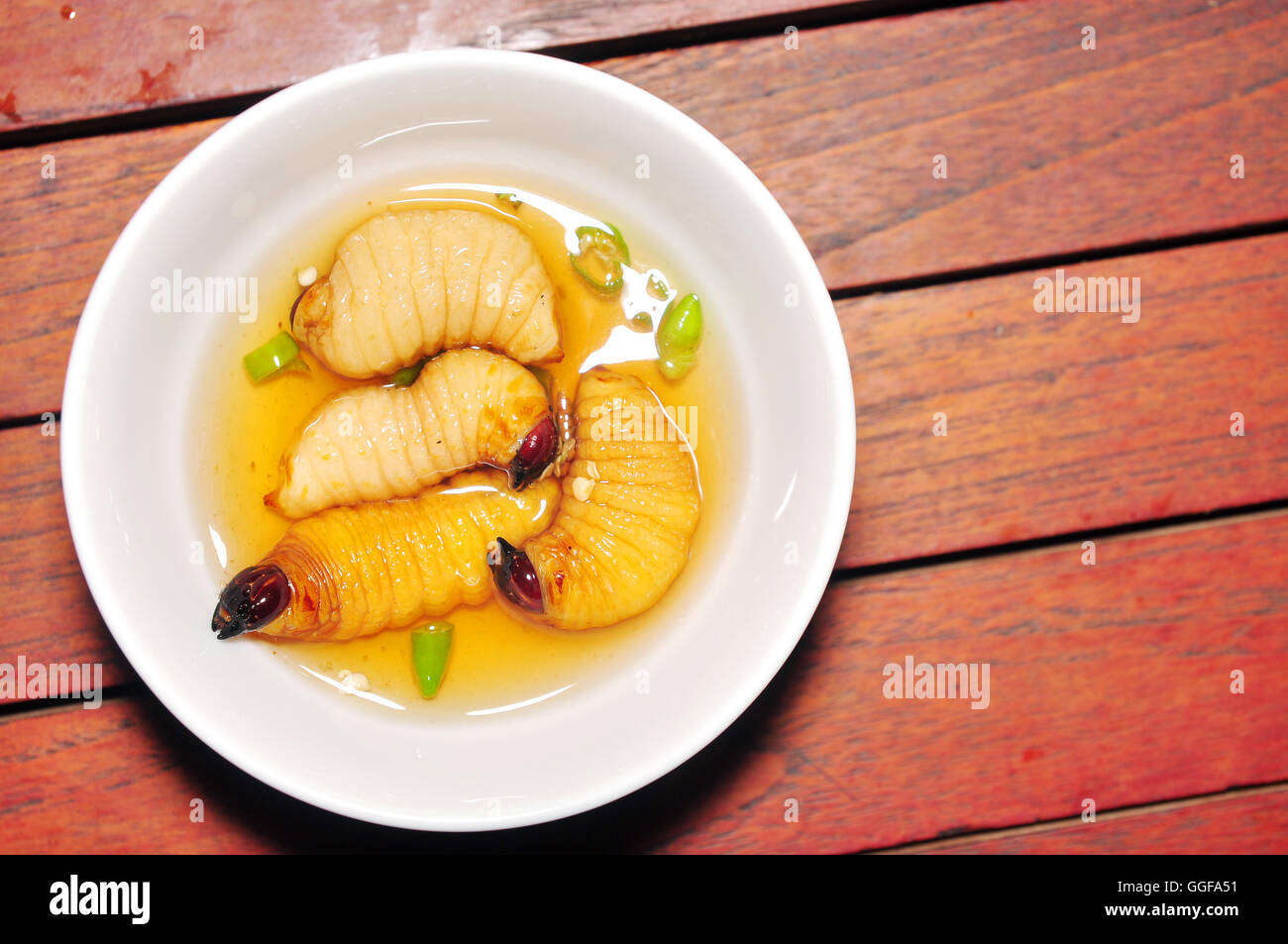 Red Palm Weevil Larva or Coconut worm or Duong dua or sago worm ...