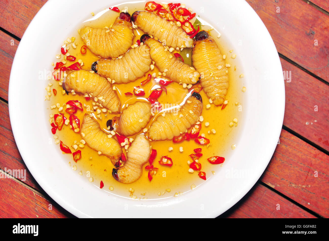 Red Palm Weevil Larva or Coconut worm or Duong dua or sago worm Stock ...