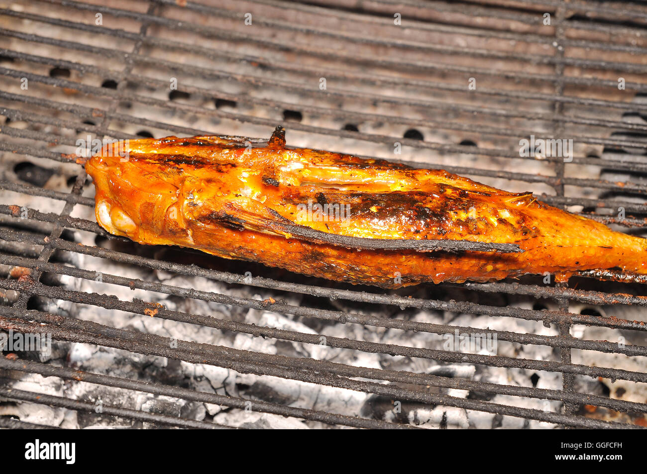 Juvenile boxfish reef hi-res stock photography and images - Alamy