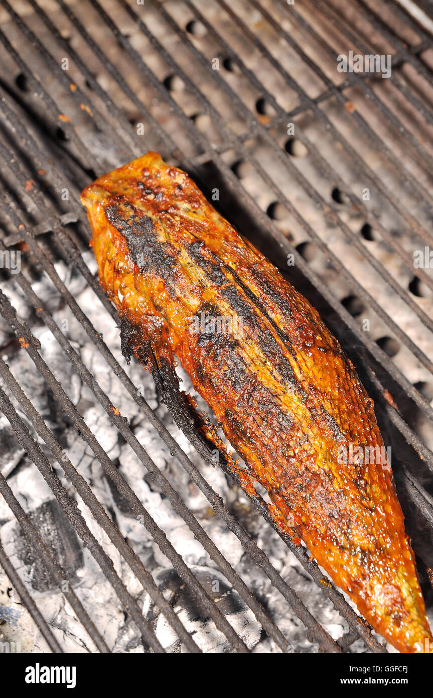 Boxfish beautiful hi-res stock photography and images - Alamy