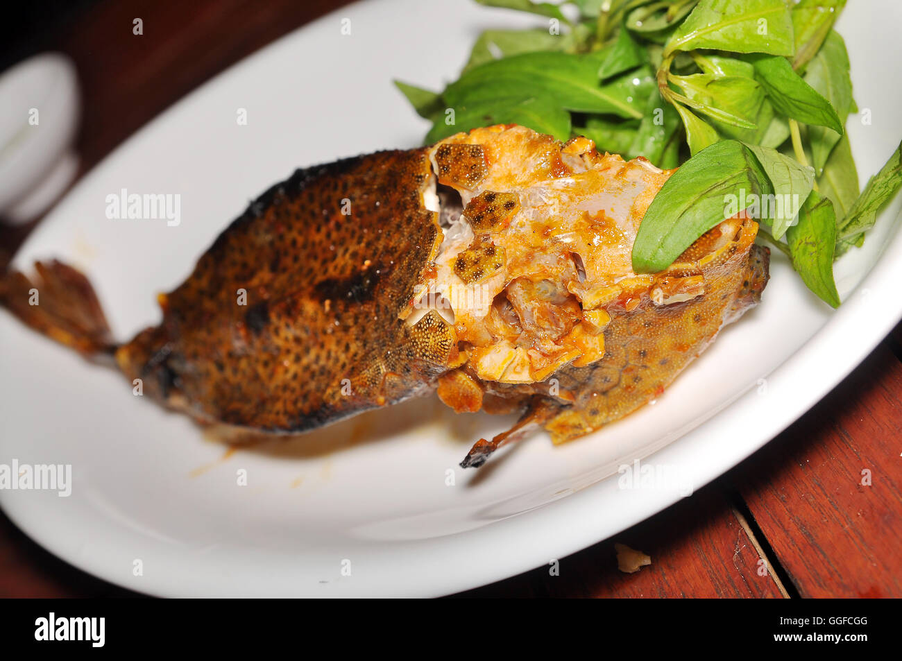 Dried Puffer Fish High Resolution Stock Photography and Images - Alamy