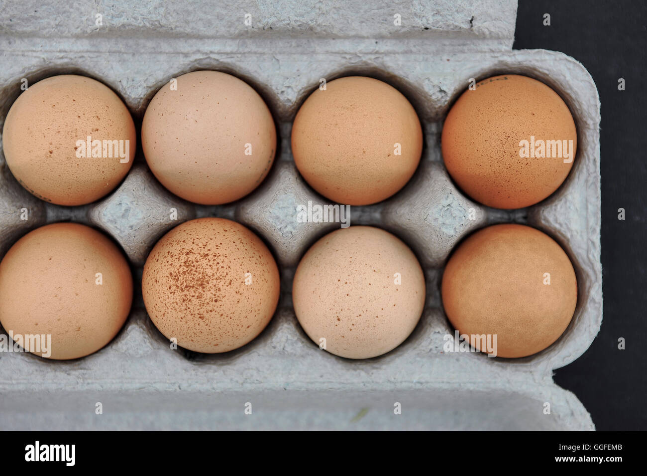 A studio photo of free range eggs Stock Photo - Alamy