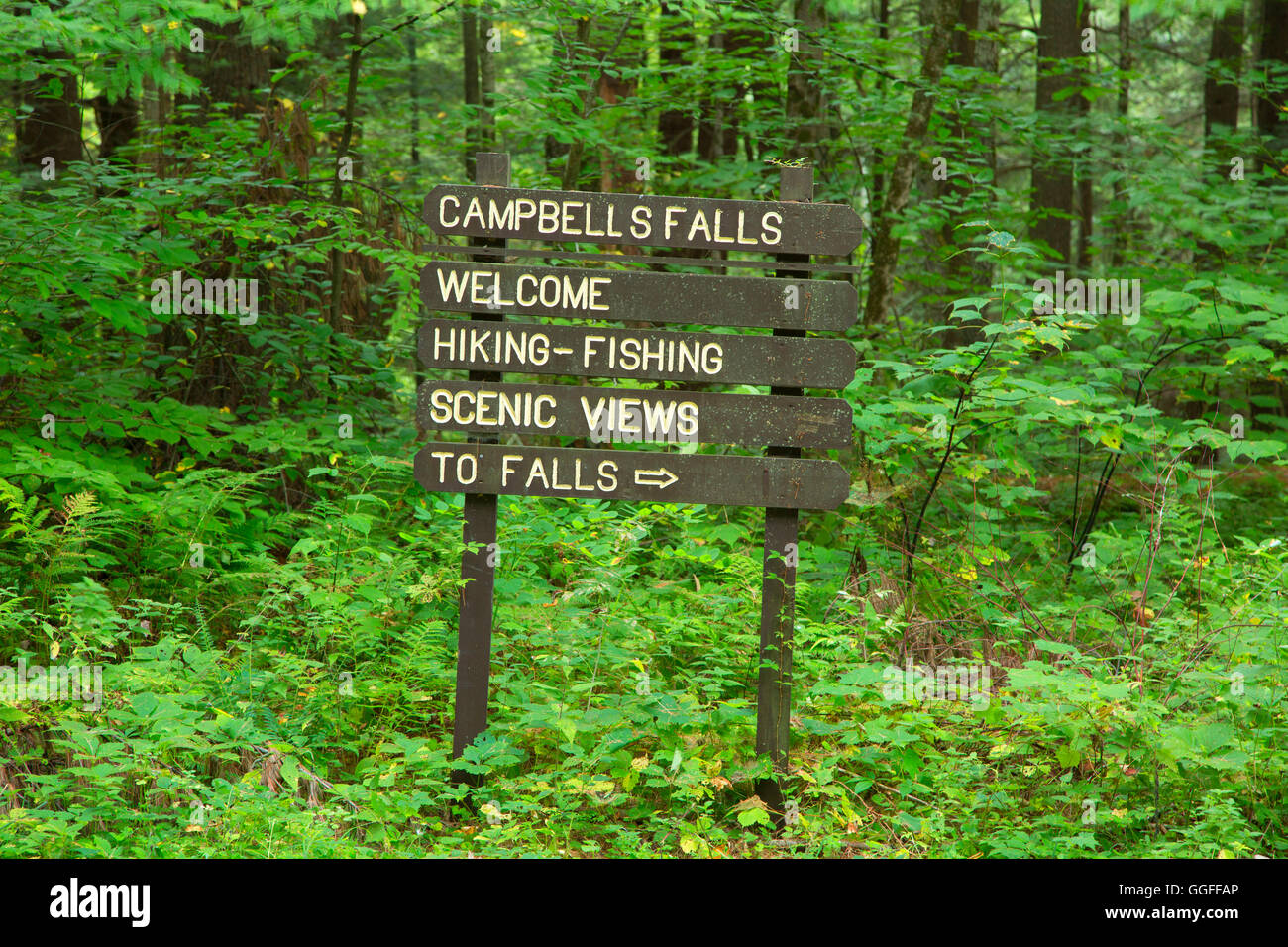Entrance sign, Campbell Falls State Park, Connecticut Stock Photo - Alamy