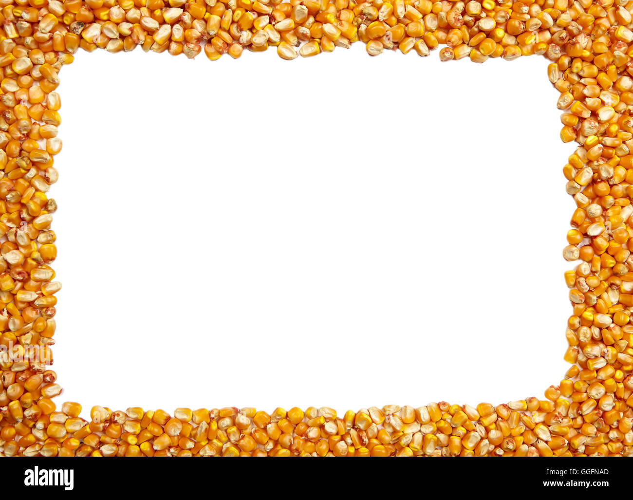frame made of corn seeds with white background Stock Photo - Alamy