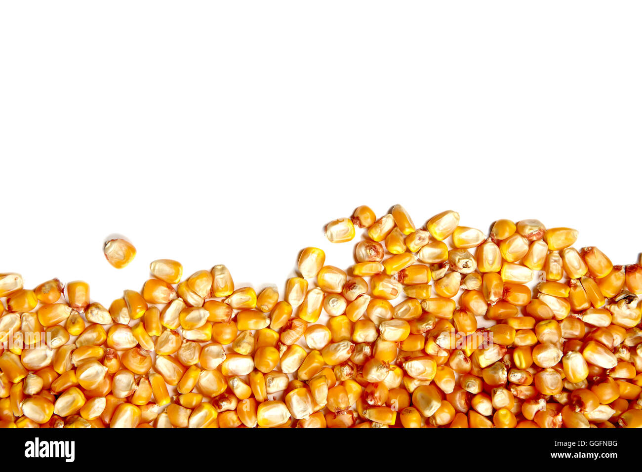 frame made of corn seeds with white background Stock Photo - Alamy