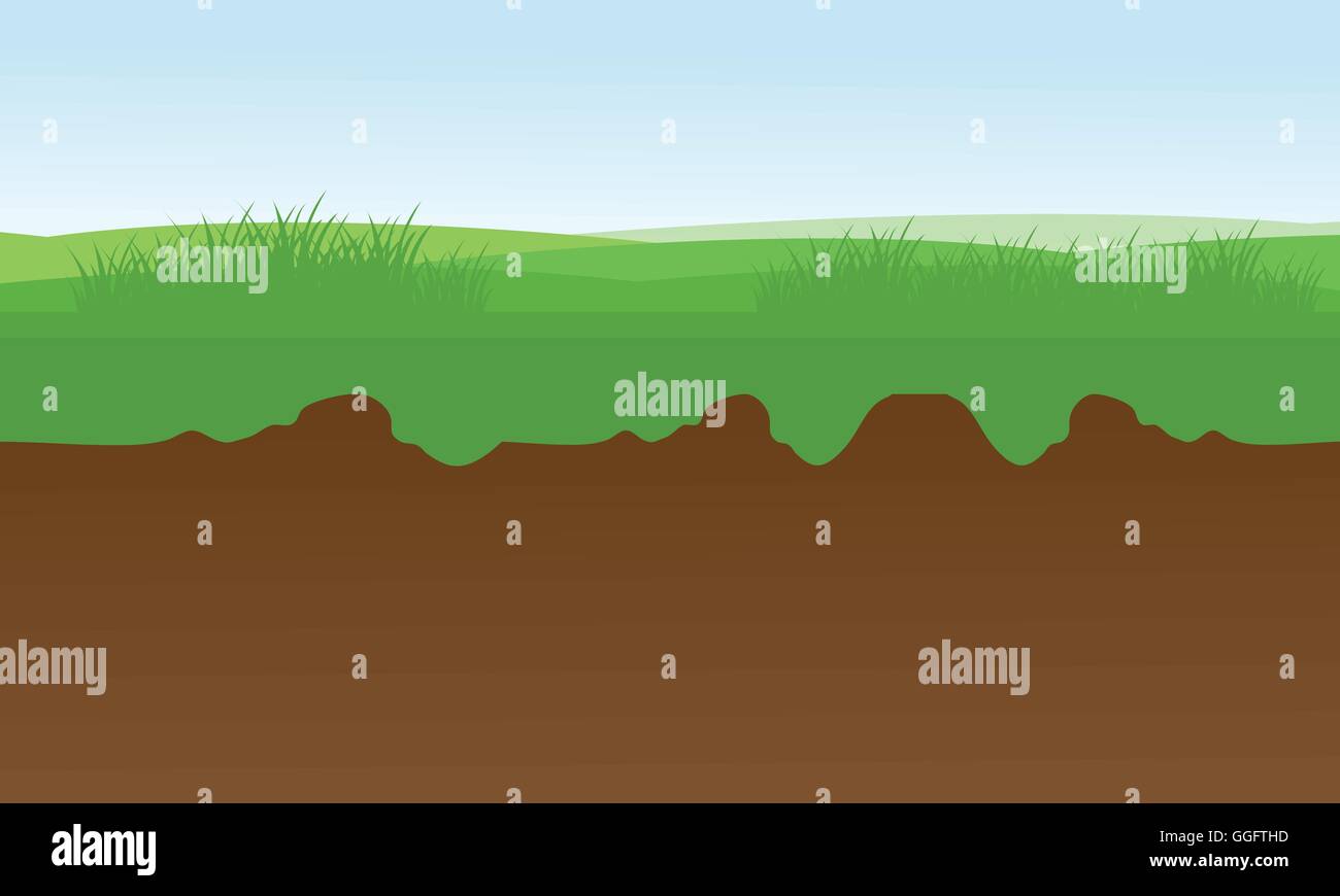 Spring scenery in morning Stock Vector Images - Alamy