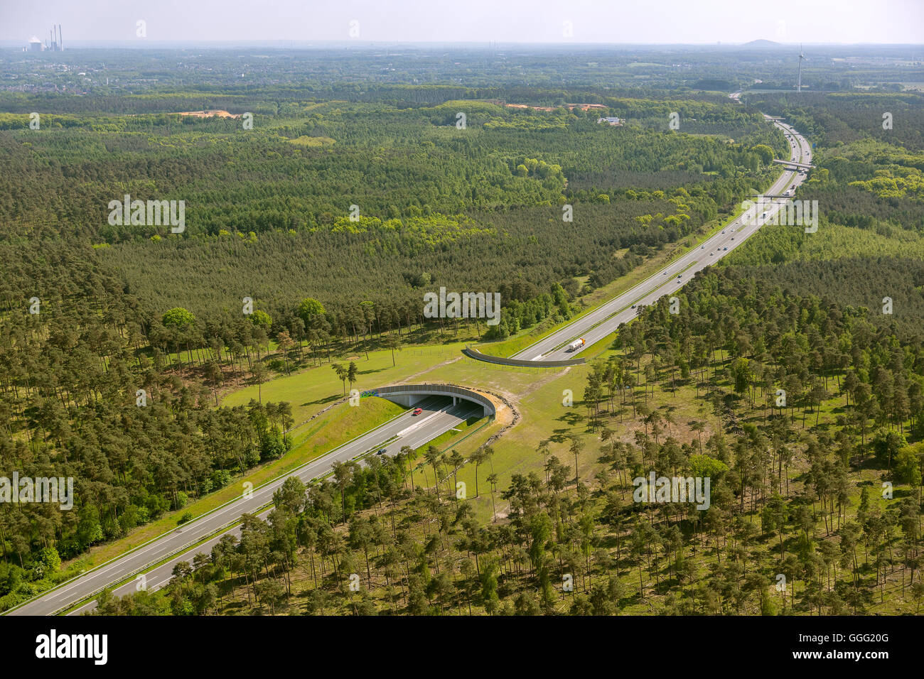 Wildlife crossing (bridge) hi-res stock photography and images - Alamy
