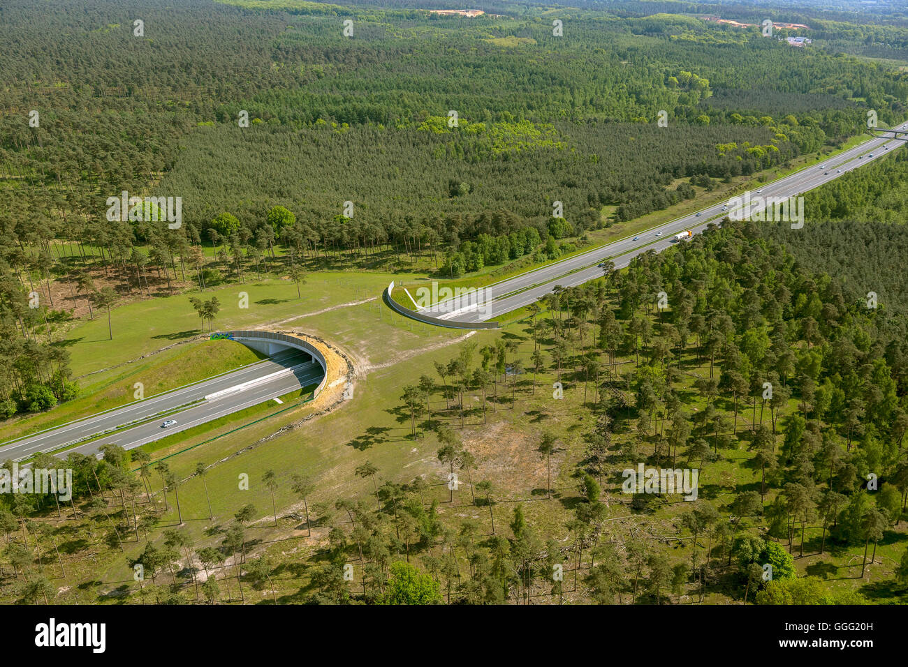 Aerial view, highway crossing, deer crossing, wildlife bridge over the ...