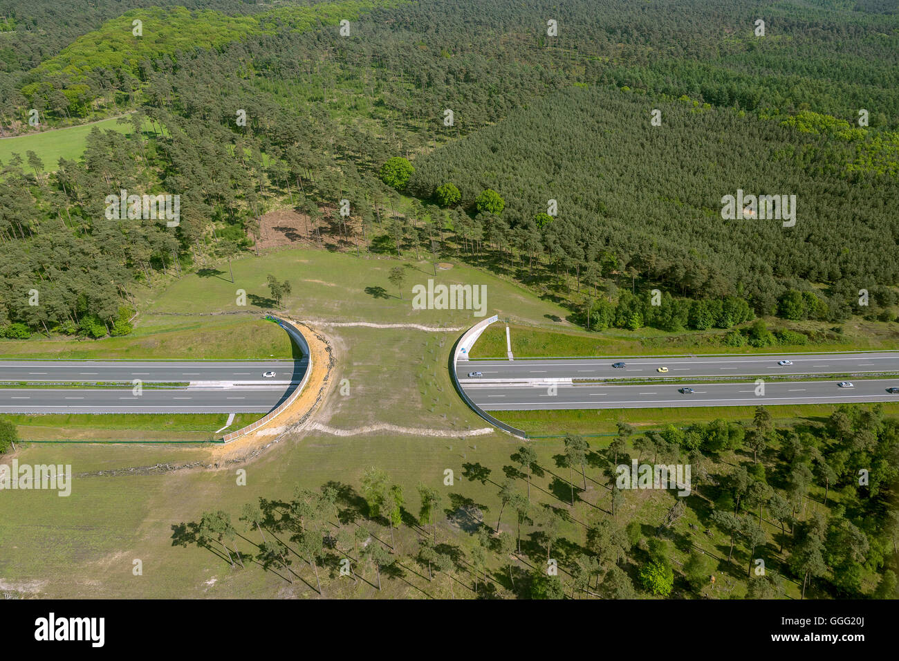 Aerial view, highway crossing, deer crossing, wildlife bridge over the ...