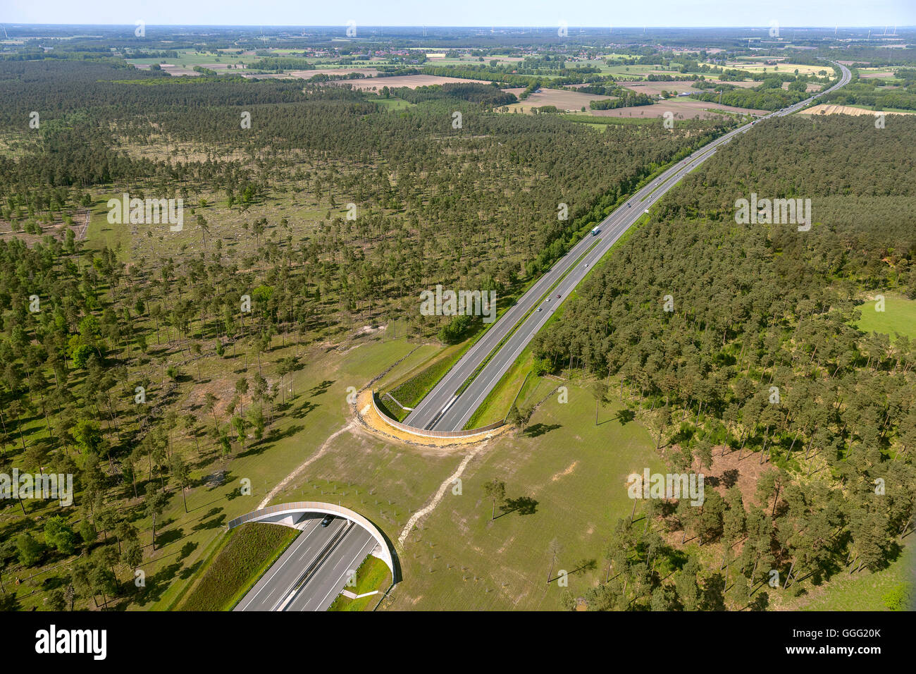 Aerial view, highway crossing, deer crossing, wildlife bridge over the ...
