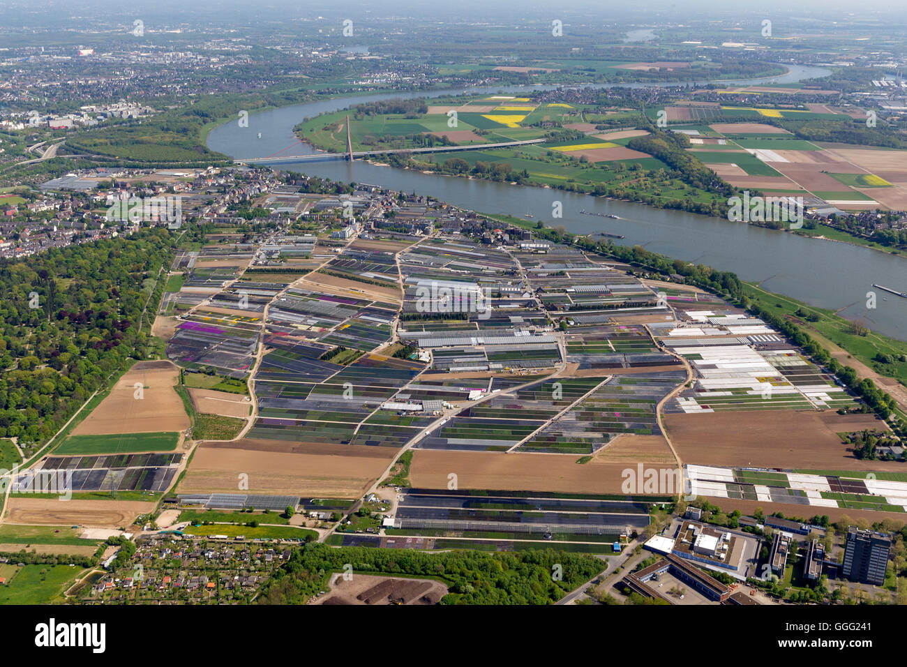 Aerial view, Volmerswerth, Aerial photo, Areas of Dusseldorf, vegetable ...