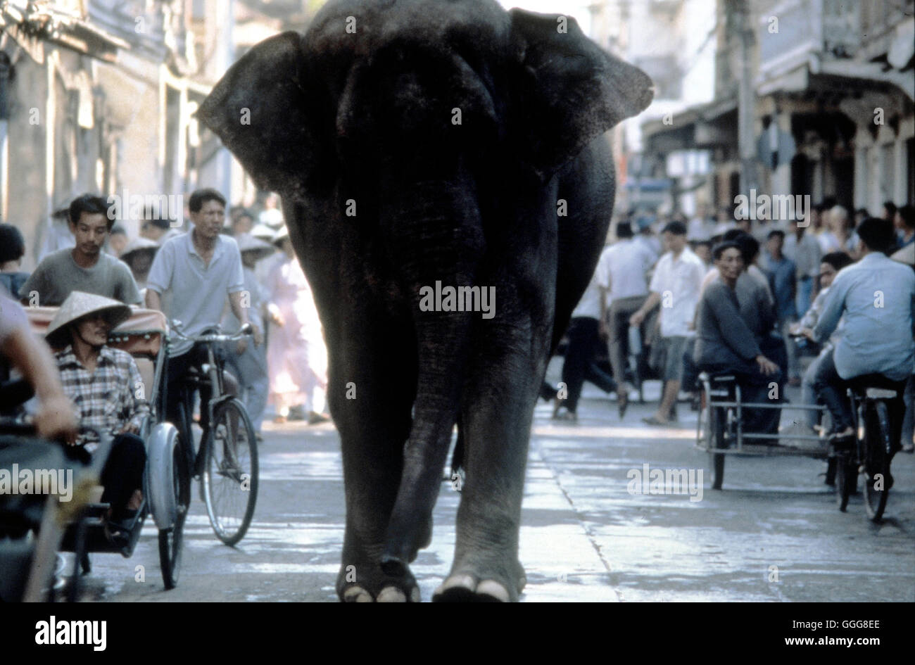 Dumbo drop hi-res stock photography and images - Alamy