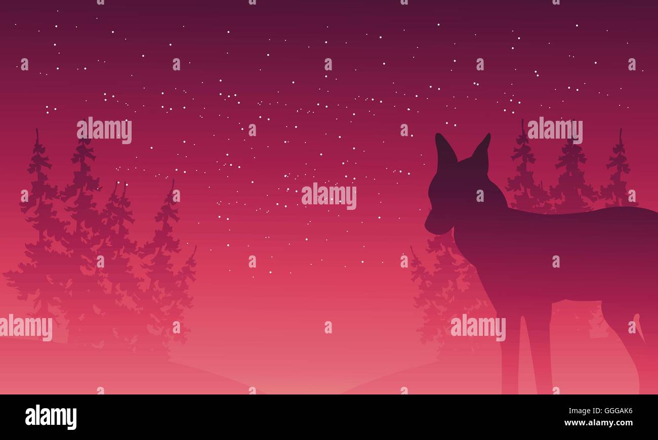 Silhouette of wolf and spruce Stock Vector Image & Art - Alamy
