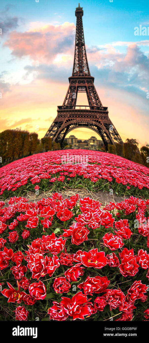 Paris, flowers and Eiffel tower. fisheye lens Stock Photo - Alamy