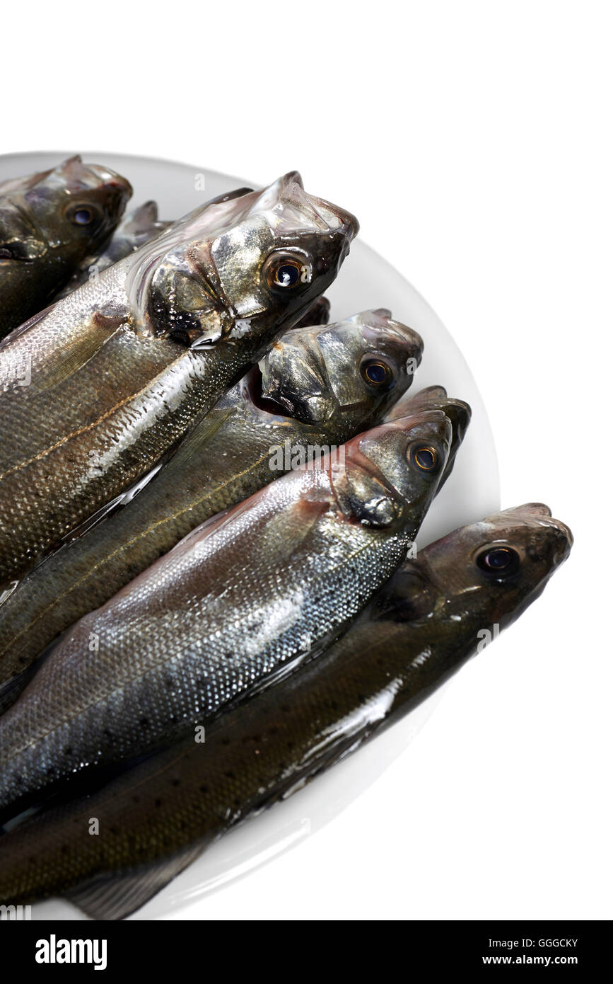 fresh fish, sea bass, ready for cooking, isolated Stock Photo - Alamy
