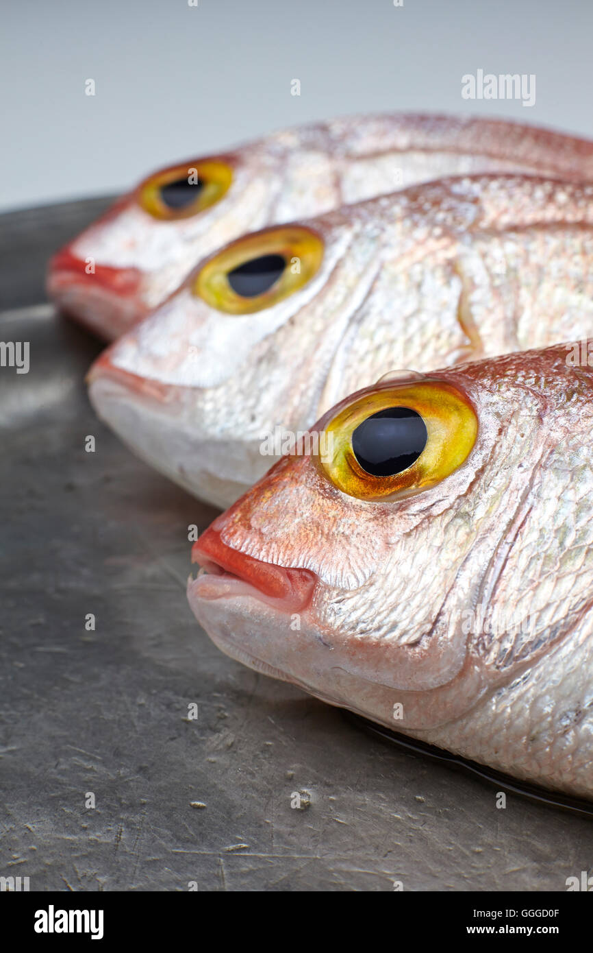 Fresh fish, red snapper in a plate Stock Photo - Alamy
