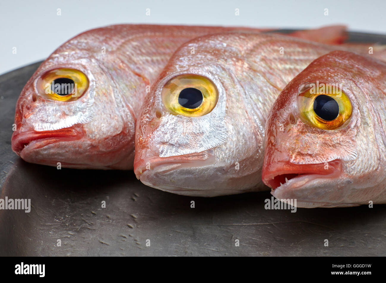 Red snapper fish skin hi-res stock photography and images - Alamy