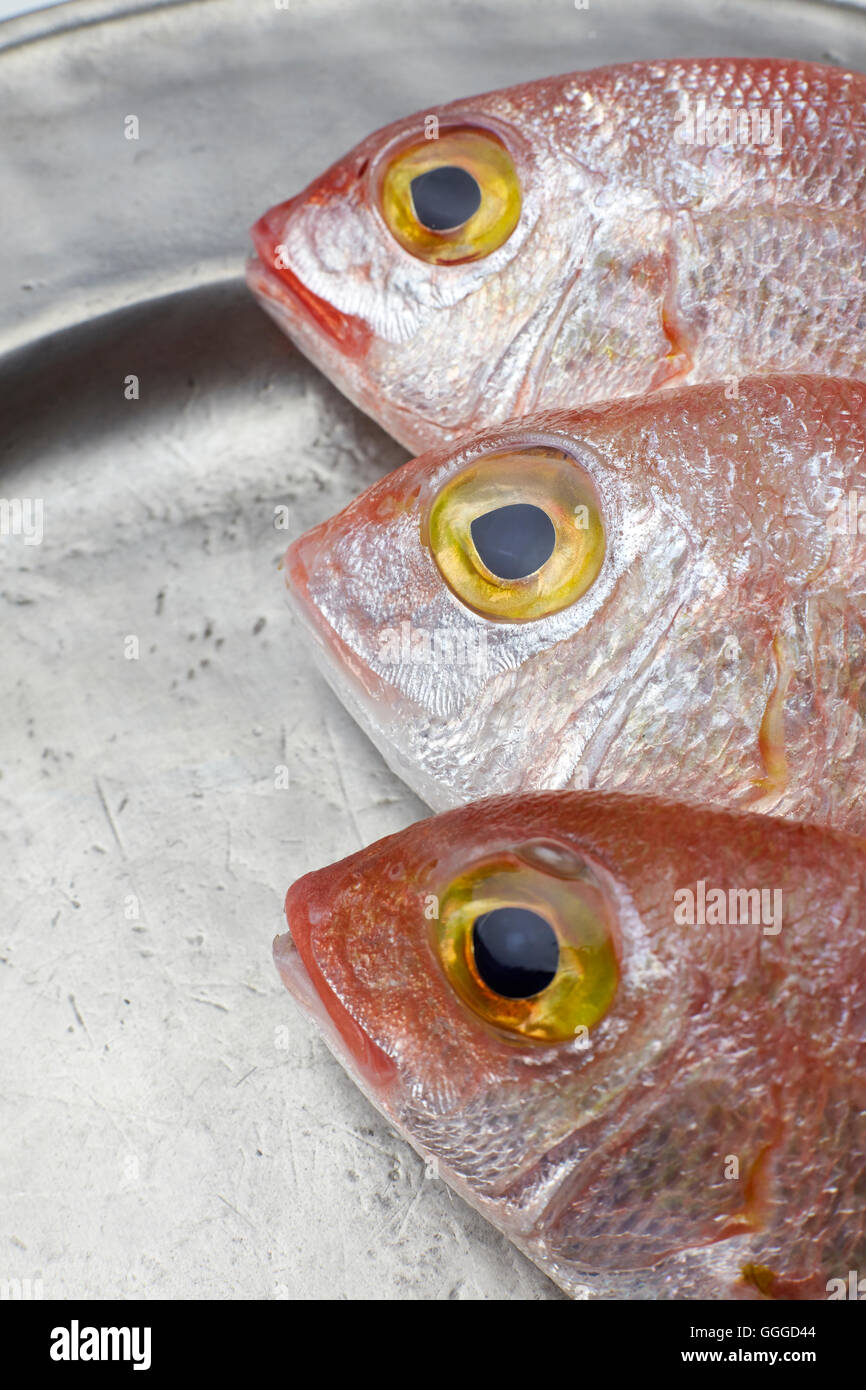 Fresh fish, red snapper in a plate Stock Photo - Alamy