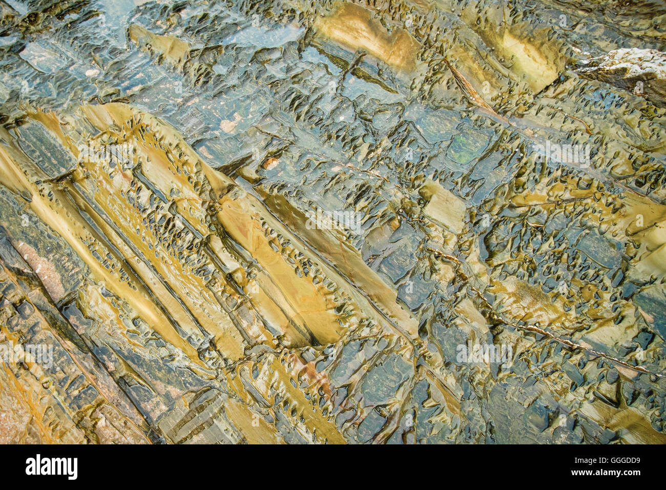 Full frame take of a volcanic rock texture Stock Photo - Alamy