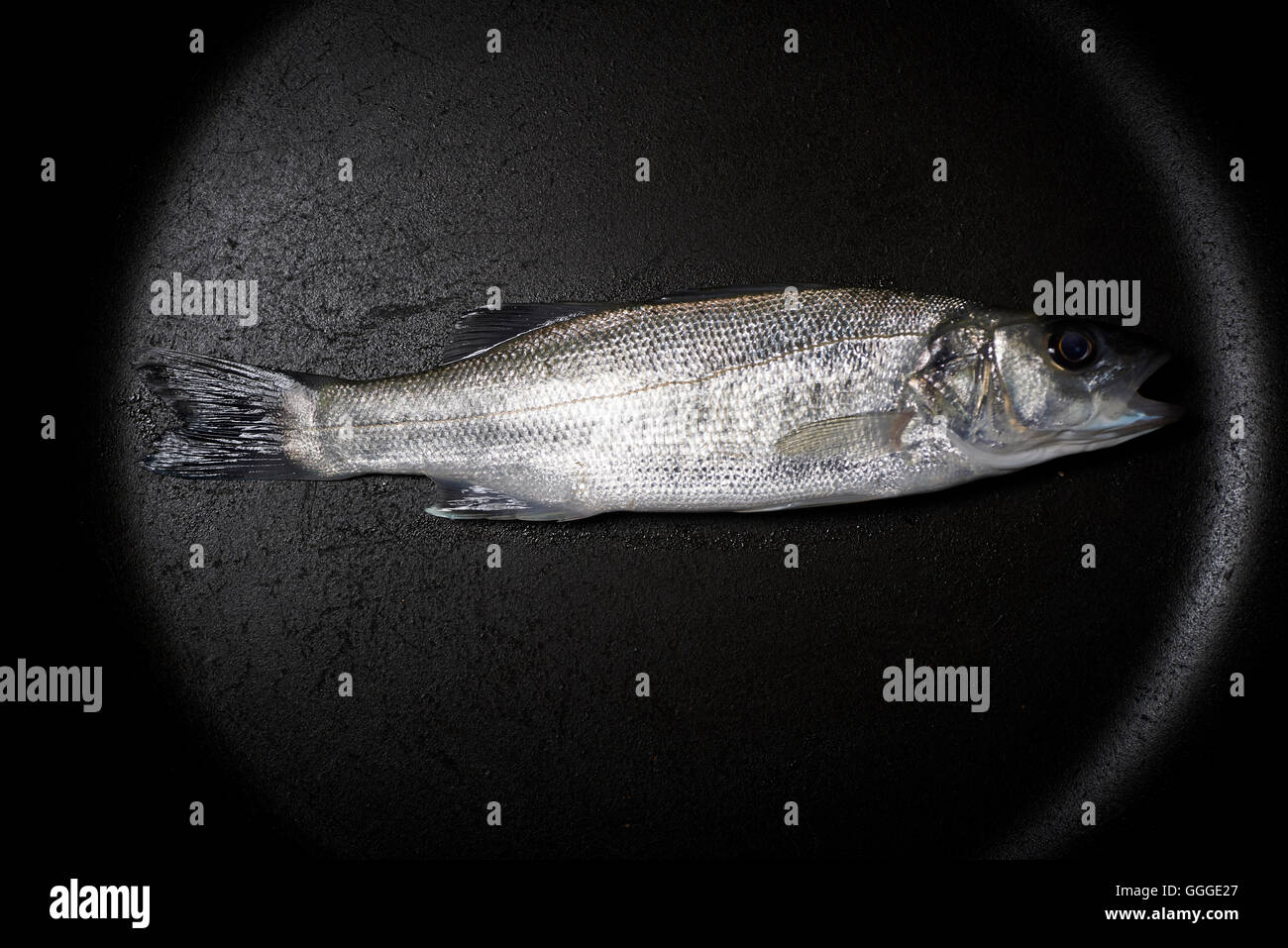 fresh fish, sea bass, ready for cooking Stock Photo - Alamy