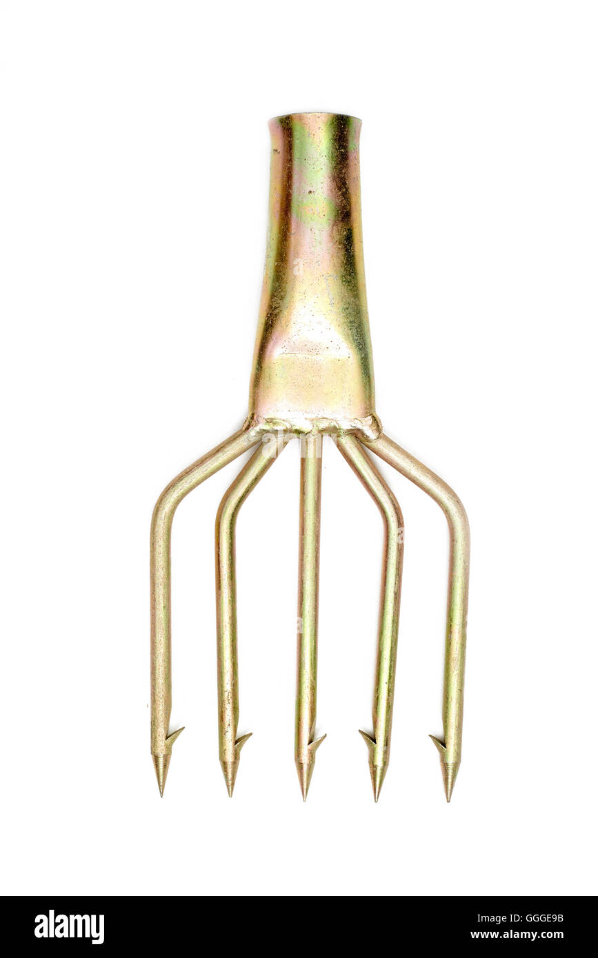 metal fishing trident isolate on a white background Stock Photo - Alamy