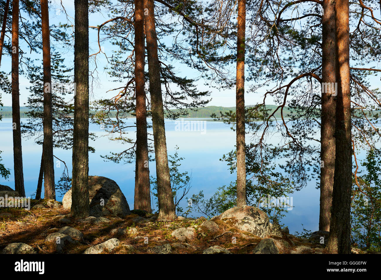 Beautiful Finnish landscape with trees in the foreground and the Lake ...